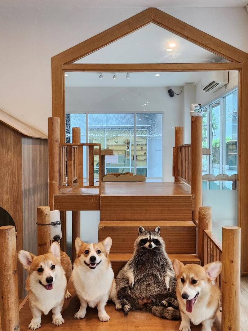 Bangkok : les cafés les plus photogéniques à ne pas manquer